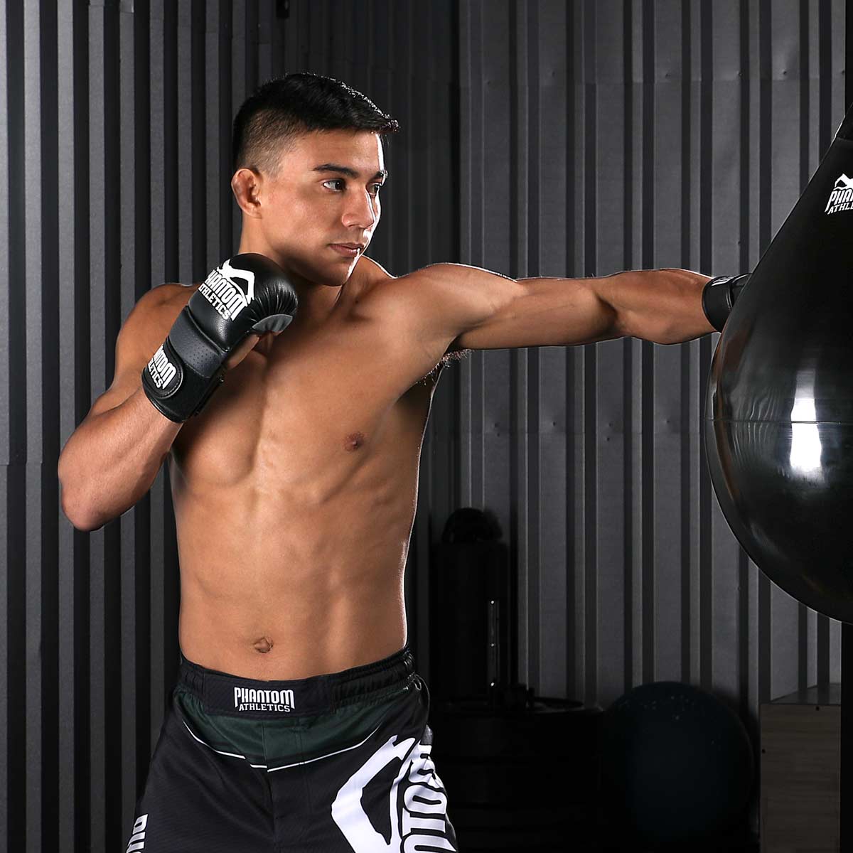 MMA Handschuhe RIOT | Training & Sparring - PHANTOM ATHLETICS